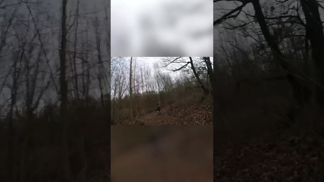Форт 4 Гнейзенау