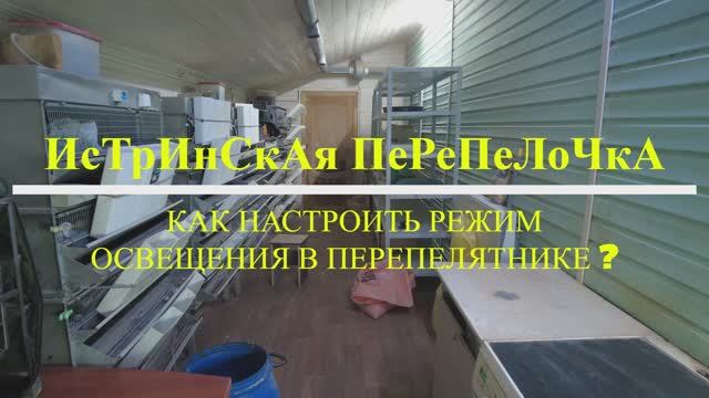 Режим освещения в перепелятнике #20