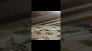 1000002813.mp4