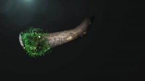 АнимацияРастений3D|3DТрава|АнимацияТравы
