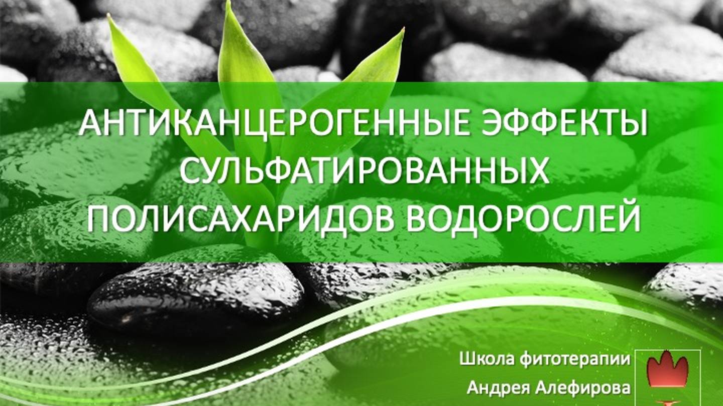 Антиканцерогенные эффекты сульфатированных полисахаридов водорослей. Алефиров А.Н.