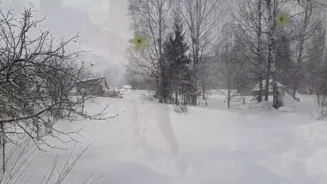 весна в домнино