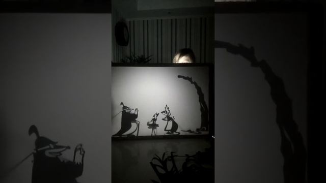 Театр теней экран