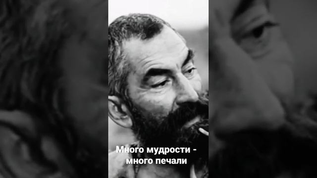 много мудрости - много печали