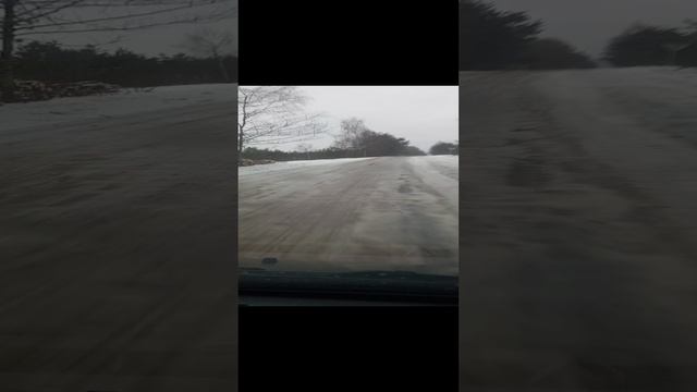 1000038362.mp4