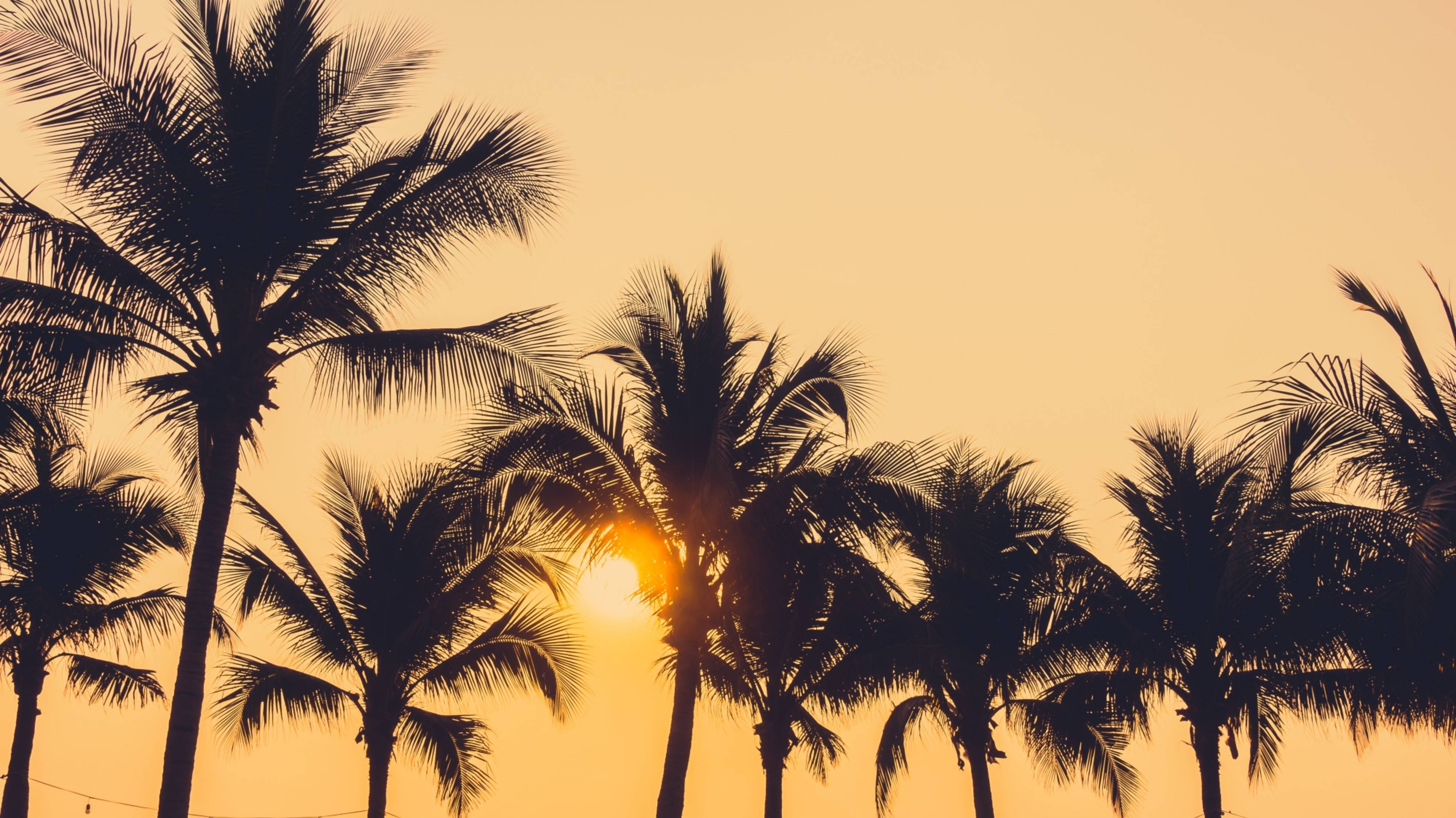 Background Chill Out | Lounge Relaxing Music |relax, study, ambient, chillout