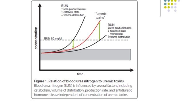 Early versus late (Lion AKI  2012)