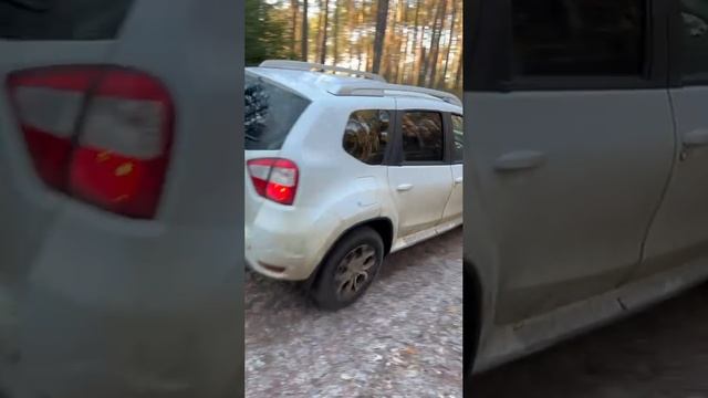 Ниссан ТерраноДастер  в лесу