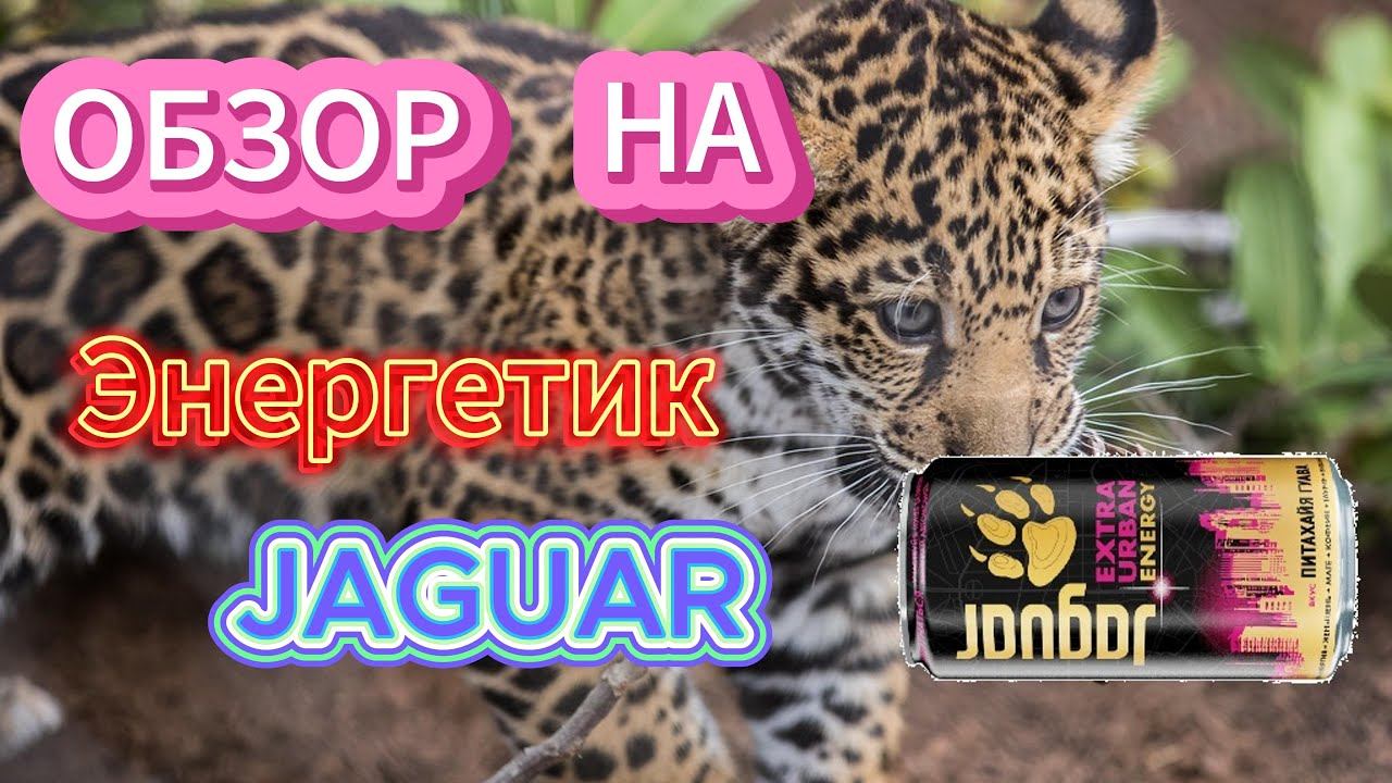 Обзор на ЭНЕРГЕТИЧЕСКИЙ напиток "JAGUAR"