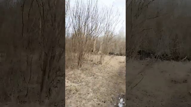 За вербой.