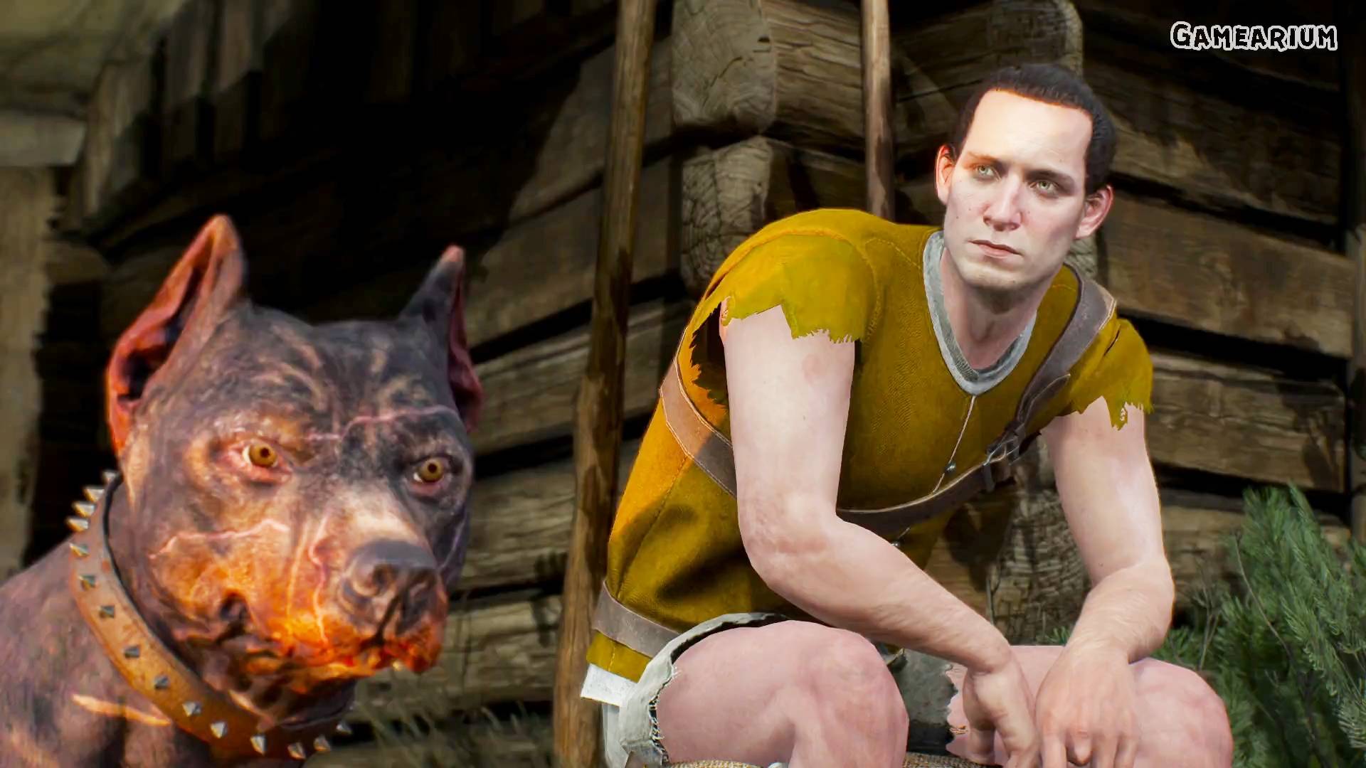 Пропавший без вести. Ведьмак 3 Дикая Охота. The Witcher 3