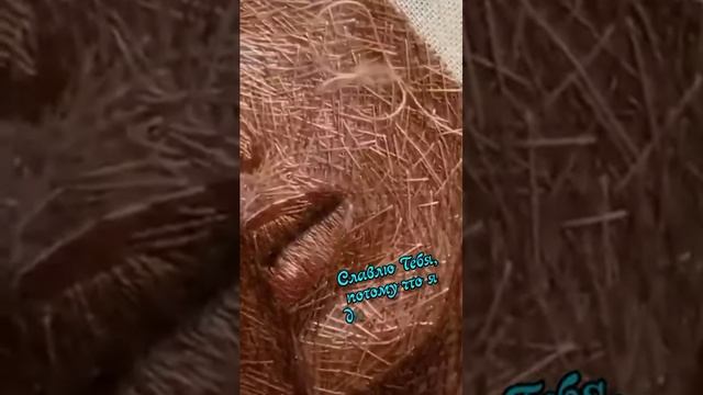 Благословенн Господь(5)