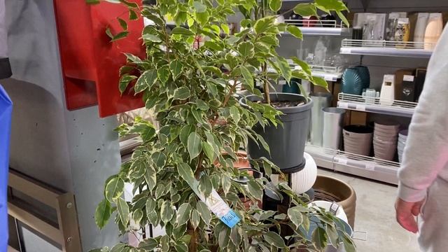 Выбрала себе подарок на День Рождения! Выравниваем полы в нашей новой квартире на море