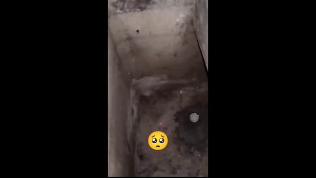 Неужели это призрак ребенка