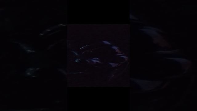 ЗАВТРА ВИДЕО #анонимус#видео#завтра