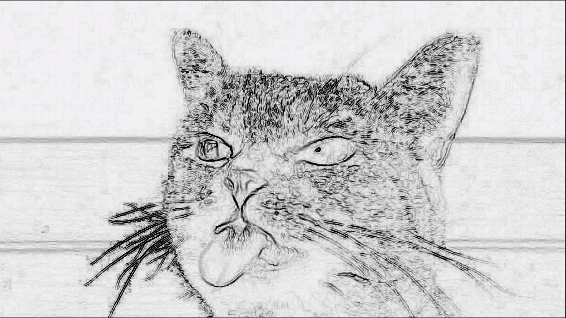 Из одного дня кота)