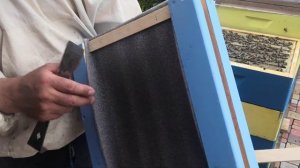 Альпийский улей, формирование нуклеуса по методу Хомича