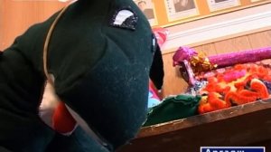 На главной площади Аргаяша установили елку