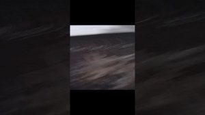 мне. приехала моя фигурка недзука. 🤩🤩🤩🥹😈