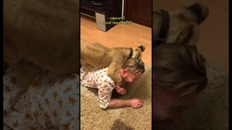Знакомство со Львом