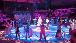 Донецкий цирк 🎪