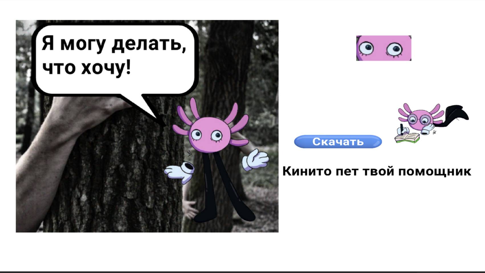 КИНИТО ПЕТ копия №1