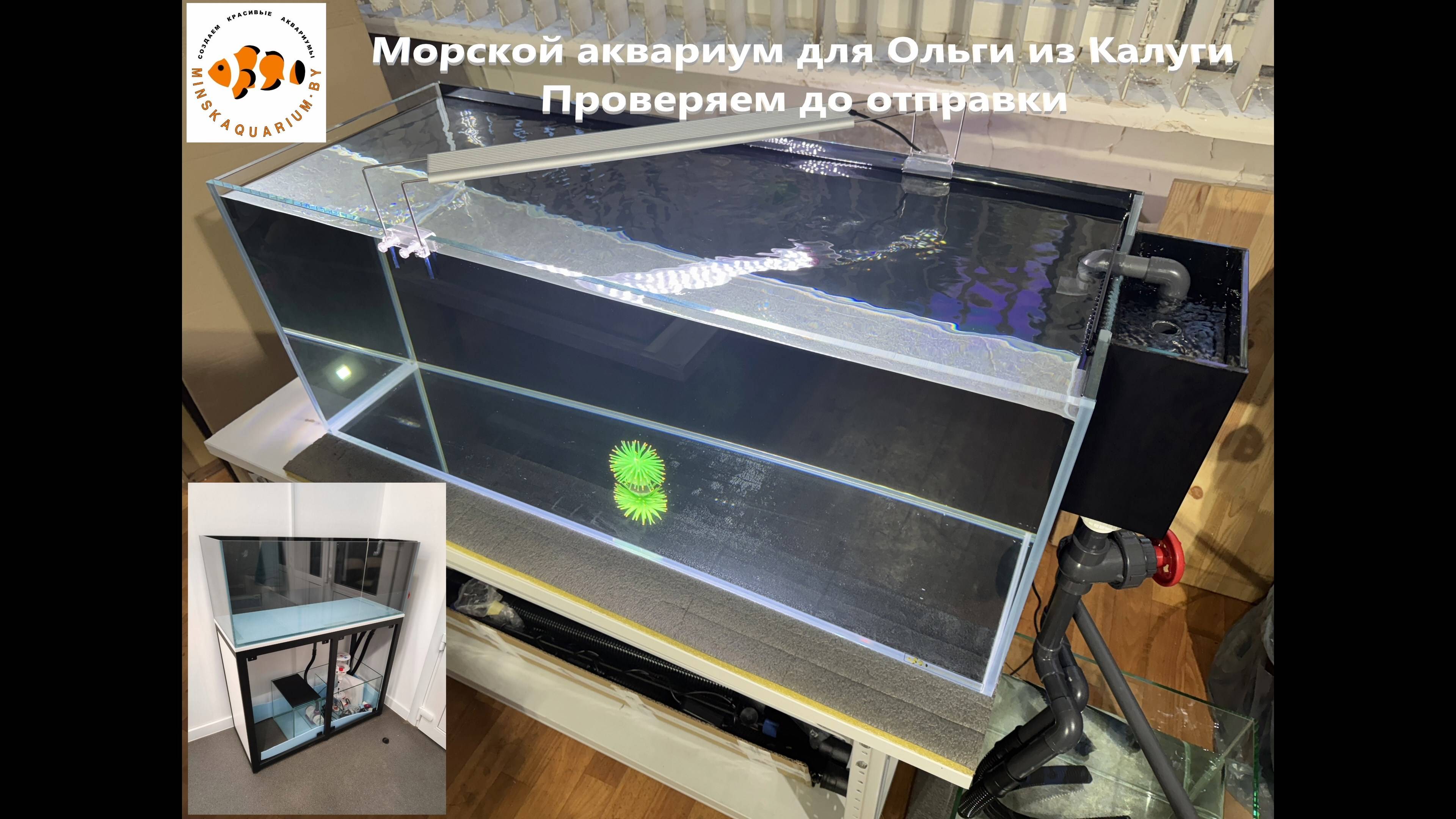 Морской аквариум для Ольги из Калуги