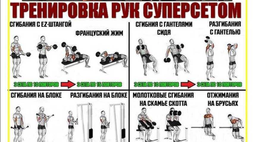 ❤️БИЦЕПС❤️#СЕМЕНОВСКАЯ #АВИАМОТОРНАЯ #НАГАТИНСКАЯ #ЧИСТЫЕПРУДЫ #ДОМОДЕДОВО #СОКОЛИНАЯГОРА #МИЧУРИН