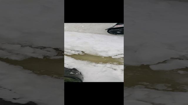 Мотособака первая рыбалка на ней