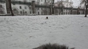 БЛОГЕР МАРСЕЛЬ GX015802