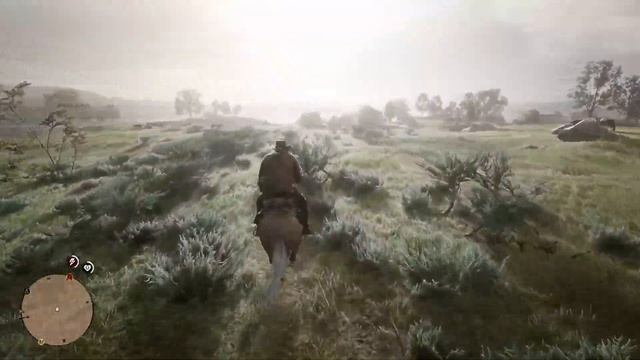 RED DEAD REDEMPTION 2 Прохождение без комментариев №7