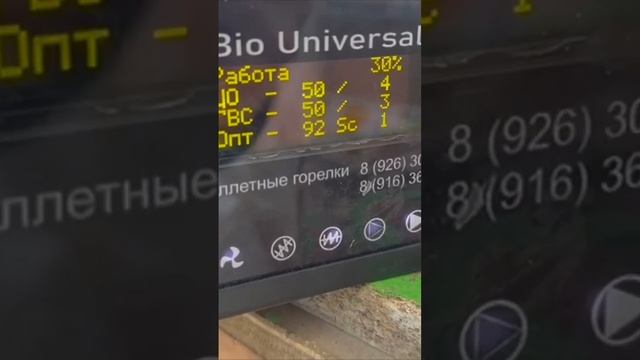 7 февраля 2024 г.