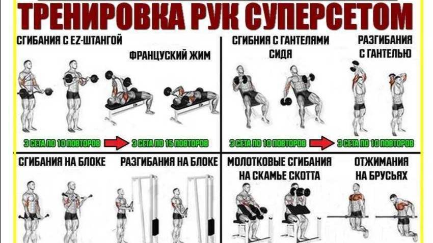 ❤️БИЦЕПС❤️#СЕМЕНОВСКАЯ #АВИАМОТОРНАЯ #НАГАТИНСКАЯ #ЧИСТЫЕПРУДЫ #ДОМОДЕДОВО #СОКОЛИНАЯГОРА #МИЧУРИН