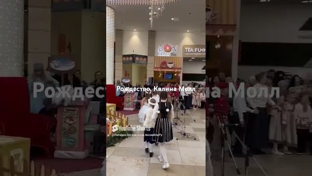 ФЛЕШМОБ. Рождество. Калина Молл