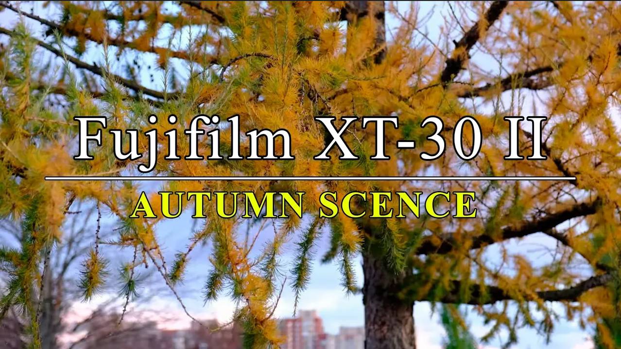 FujiFilm X-T30 II Тест в реальной жизни - Осенние сцены (4K 3840x2160 \ 30fps)