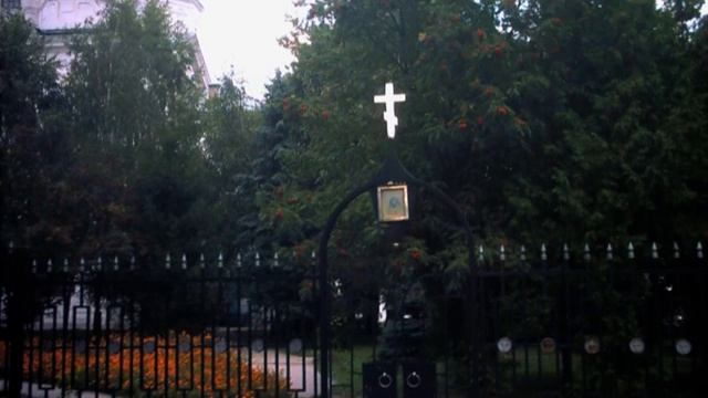 здесь, где пух тополтный