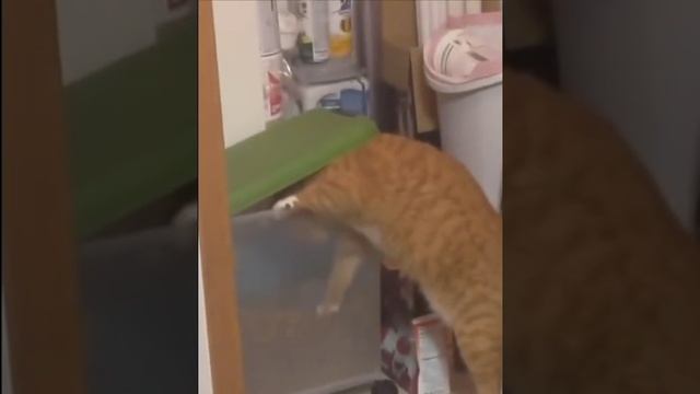 на самообслуживании