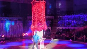 Донецкий цирк 🎪