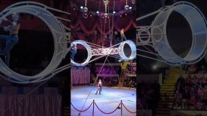 Донецкий цирк 🎪