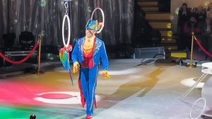 Донецкий цирк 🎪