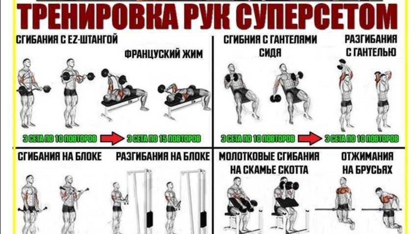 ❤️БИЦЕПС❤️#СЕМЕНОВСКАЯ #АВИАМОТОРНАЯ #НАГАТИНСКАЯ #ЧИСТЫЕПРУДЫ #ДОМОДЕДОВО #СОКОЛИНАЯГОРА #МИЧУРИН