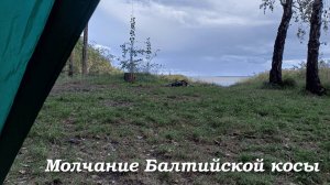 Молчание Балтийской косы