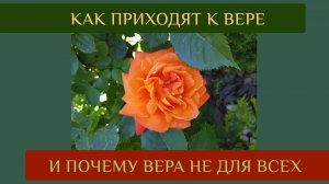 Как приходят к вере. Почему вера - это дар Божий, а где воля человека?