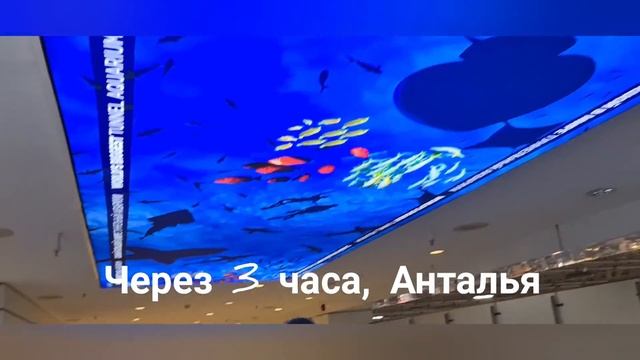 Бизнес-классом в Турцию? Легко! #2