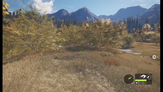 the Hunter  Call of the Wild