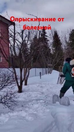 опрыскивание