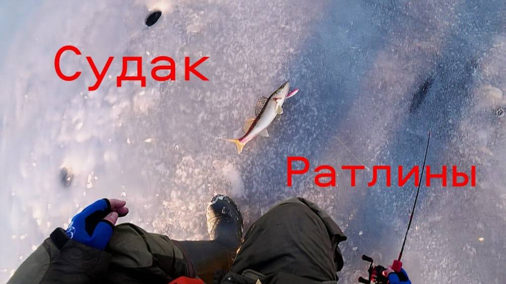 Ловля Судака На Ратлины