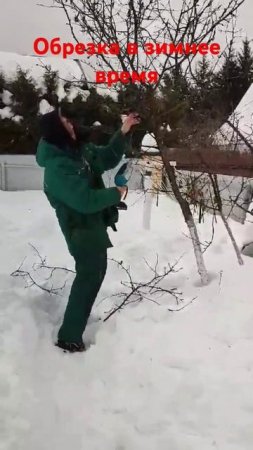 обрезка зимой