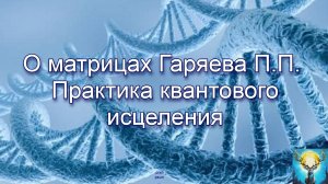 О матрицах Гаряева П.П. Практика квантового исцеления.