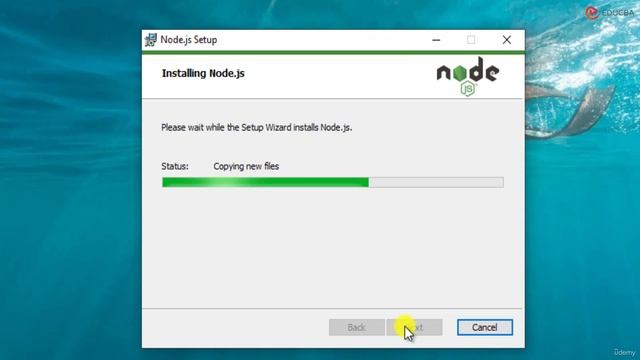 14 - Testing using Newman